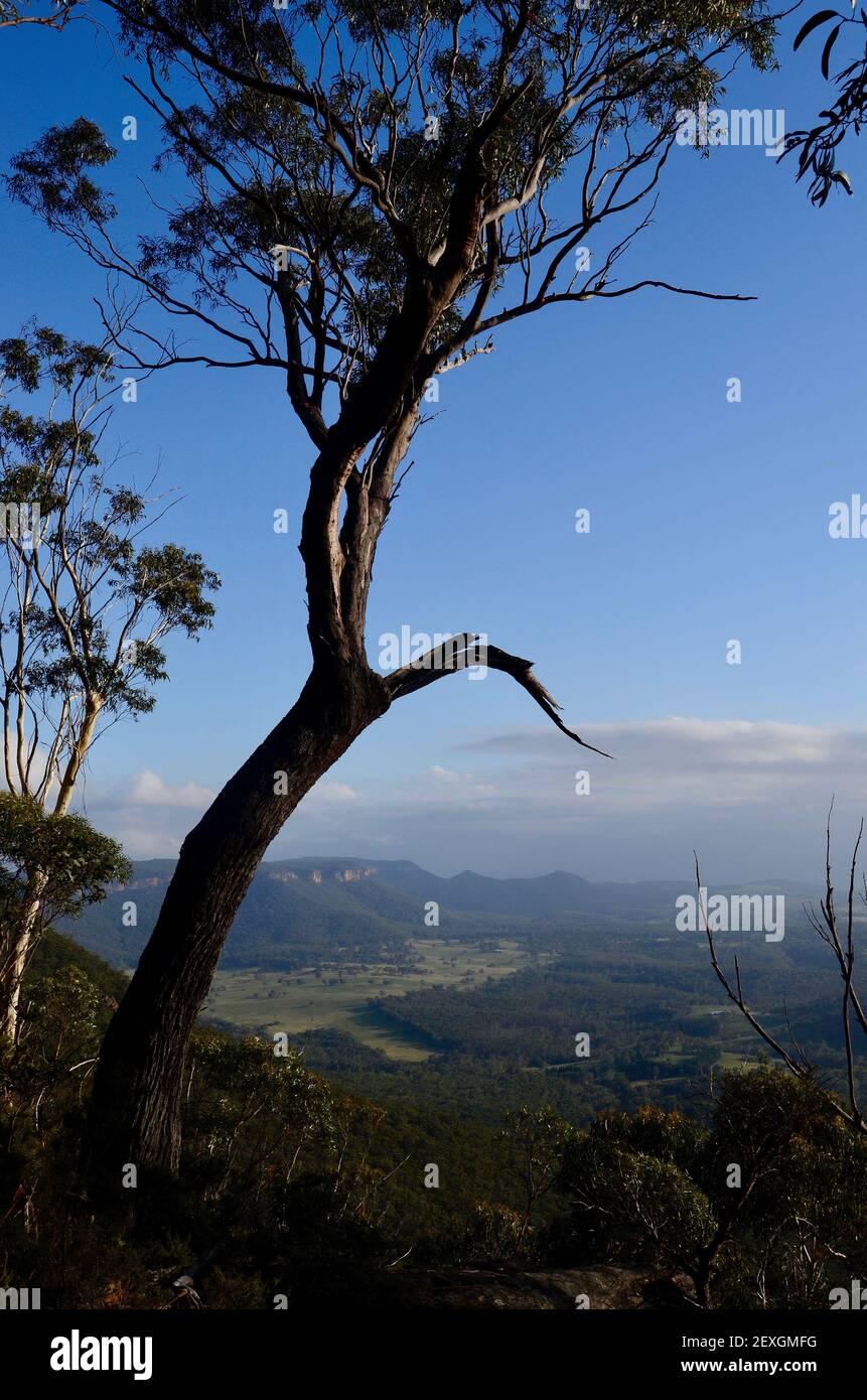 A view of the landscape in the Blue Mountains of Australia Stock Photo ...