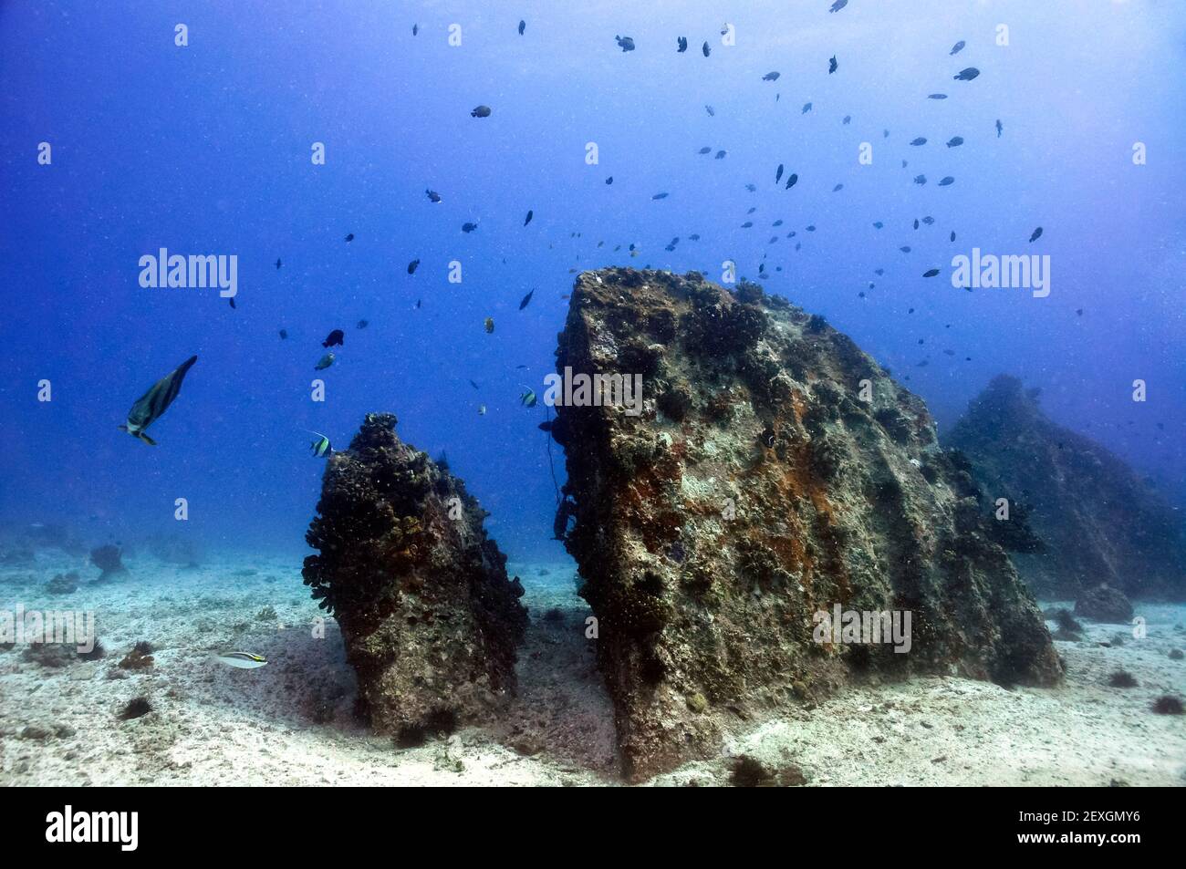 Underwater landscape rocky boulder hi-res stock photography and images ...