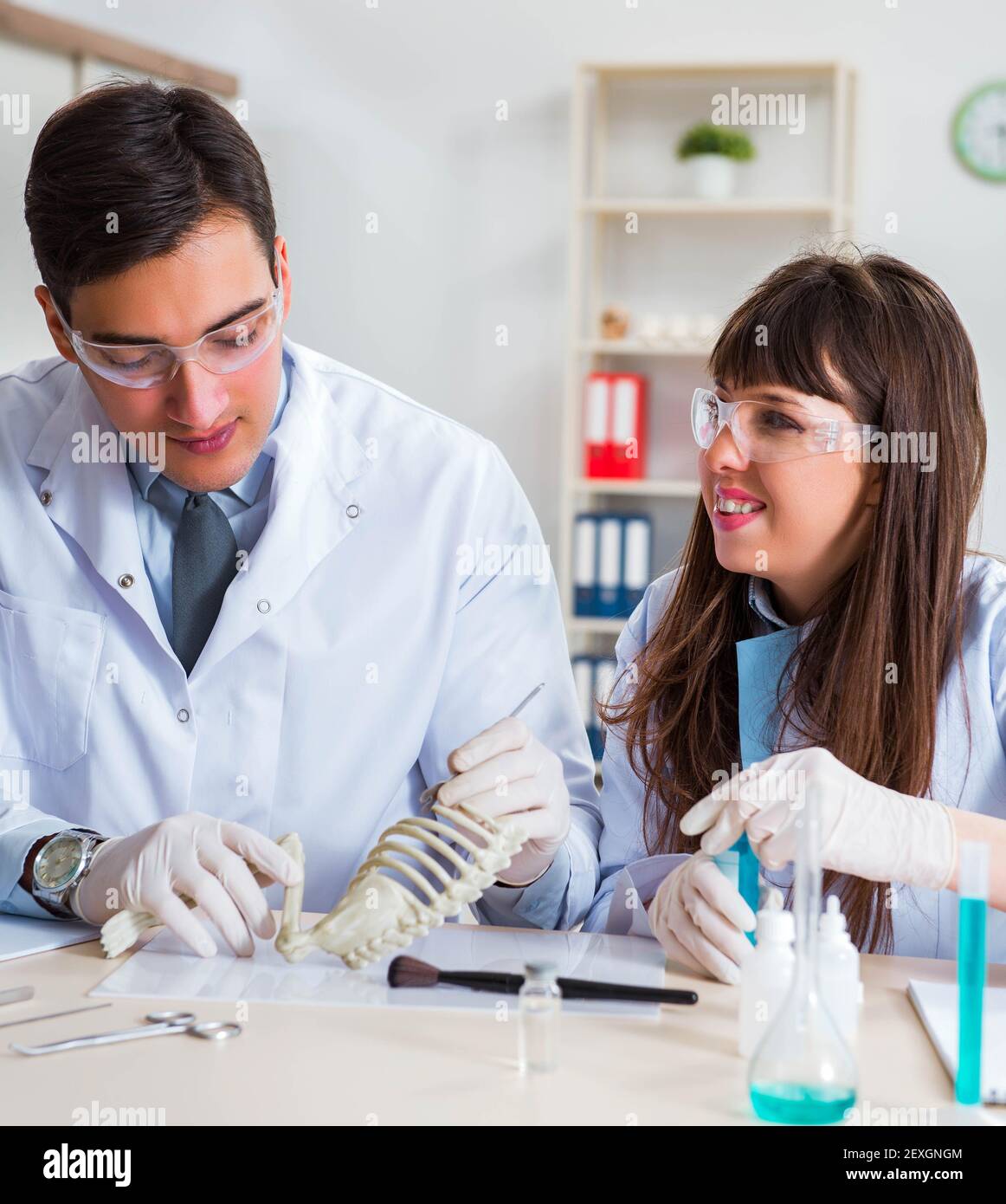 Paleontologists examining fossil hi-res stock photography and images ...