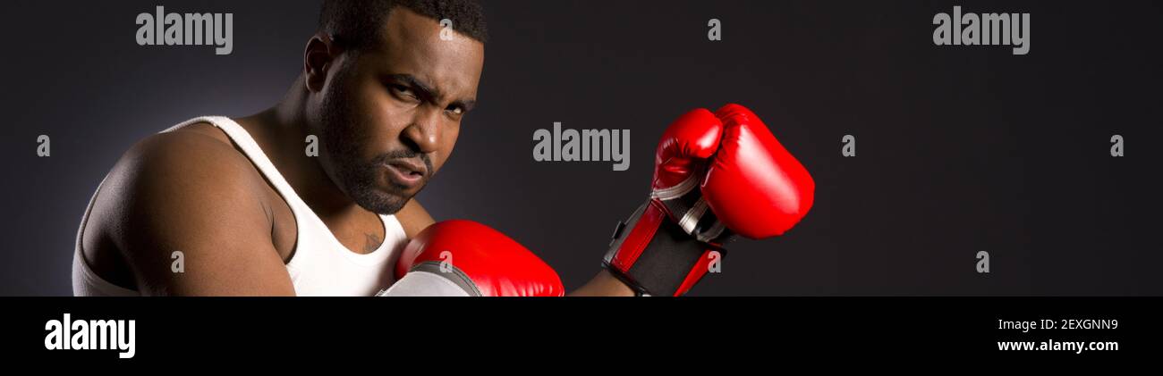 The Boxer's Reach Stock Photo - Alamy