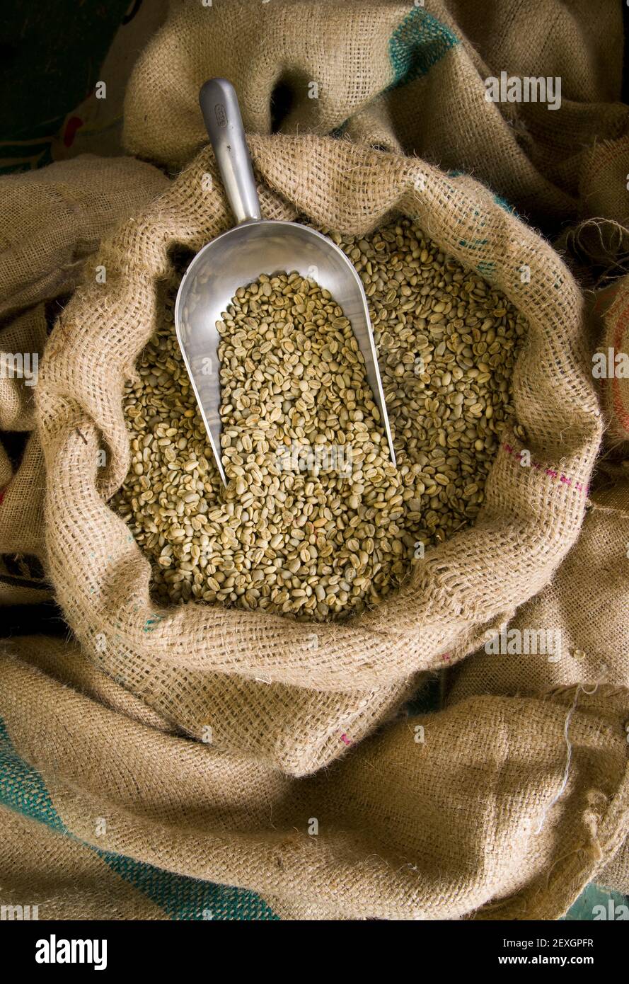 Raw Coffee Beans Stock Photo - Alamy