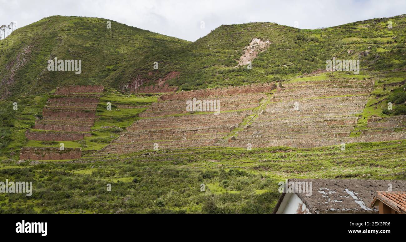 stepped walls Inca ruins on green side of andes mountain,Urubamba Peru ...