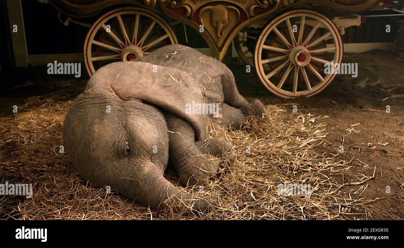 Dumbo Film Tim Burton High Resolution Stock Photography and Images - Alamy
