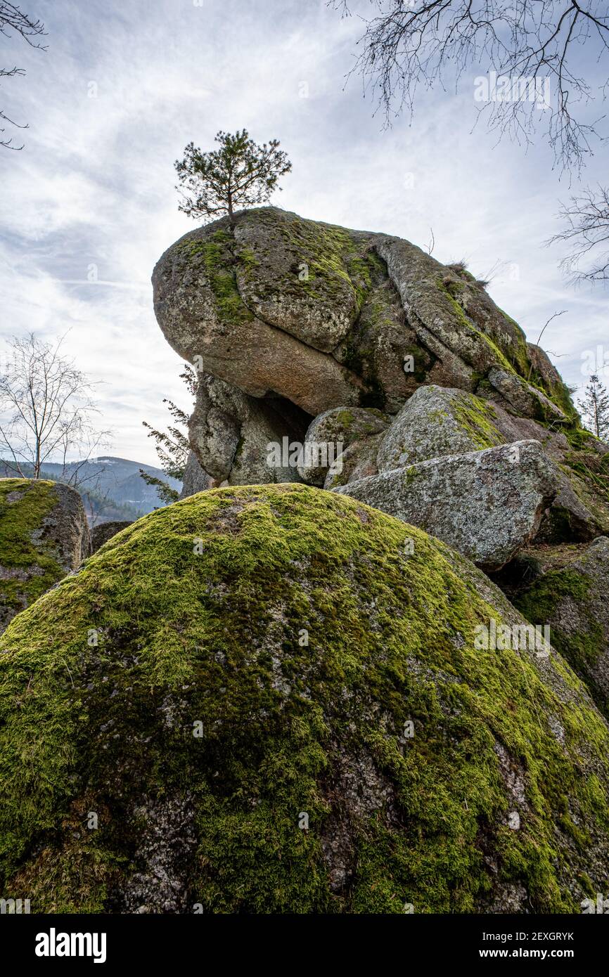 A vertical shot of big rock formations covered with moss in the ...