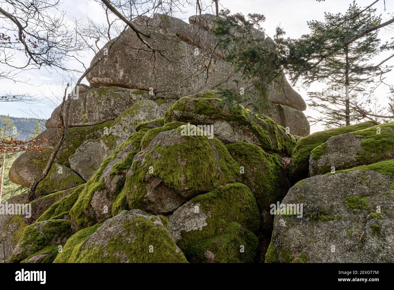 A low angle shot of a big rock formation covered with moss in the ...
