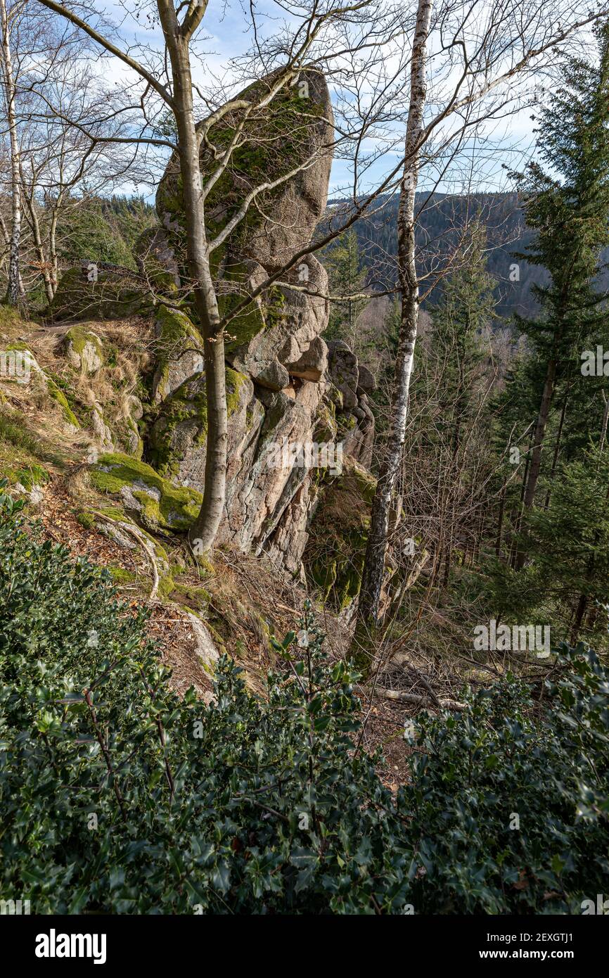 A vertical shot of big rock formations covered with moss and trees in ...