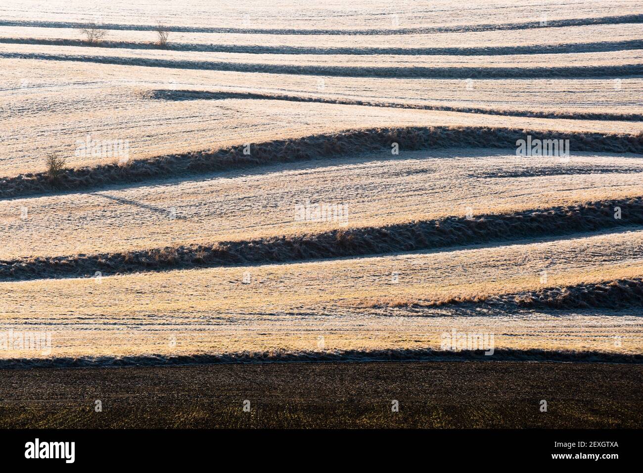 Historical terrace fields near village of Necpaly, Turiec region Stock ...