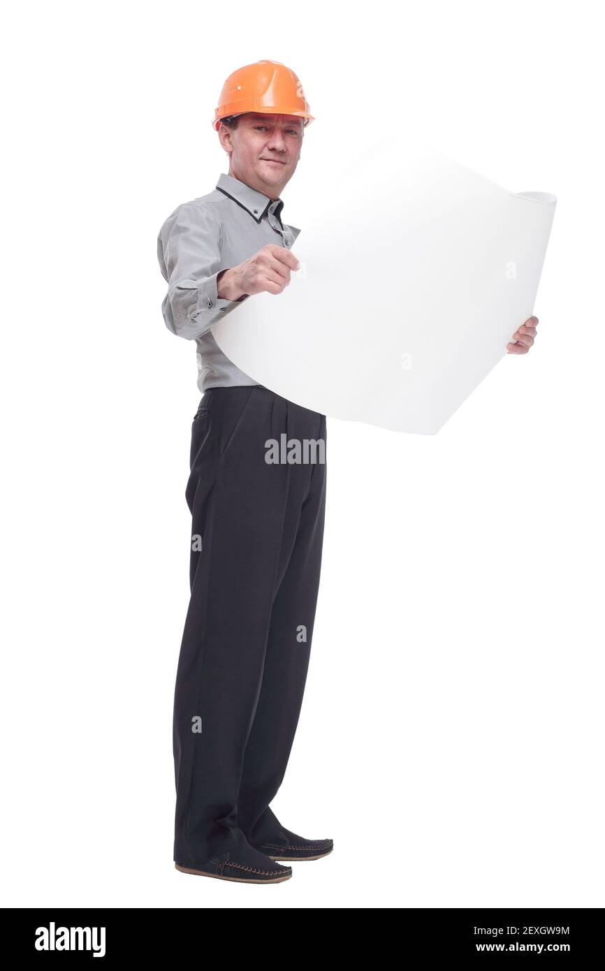 smiling male architect reading blueprints . isolated on a white ...