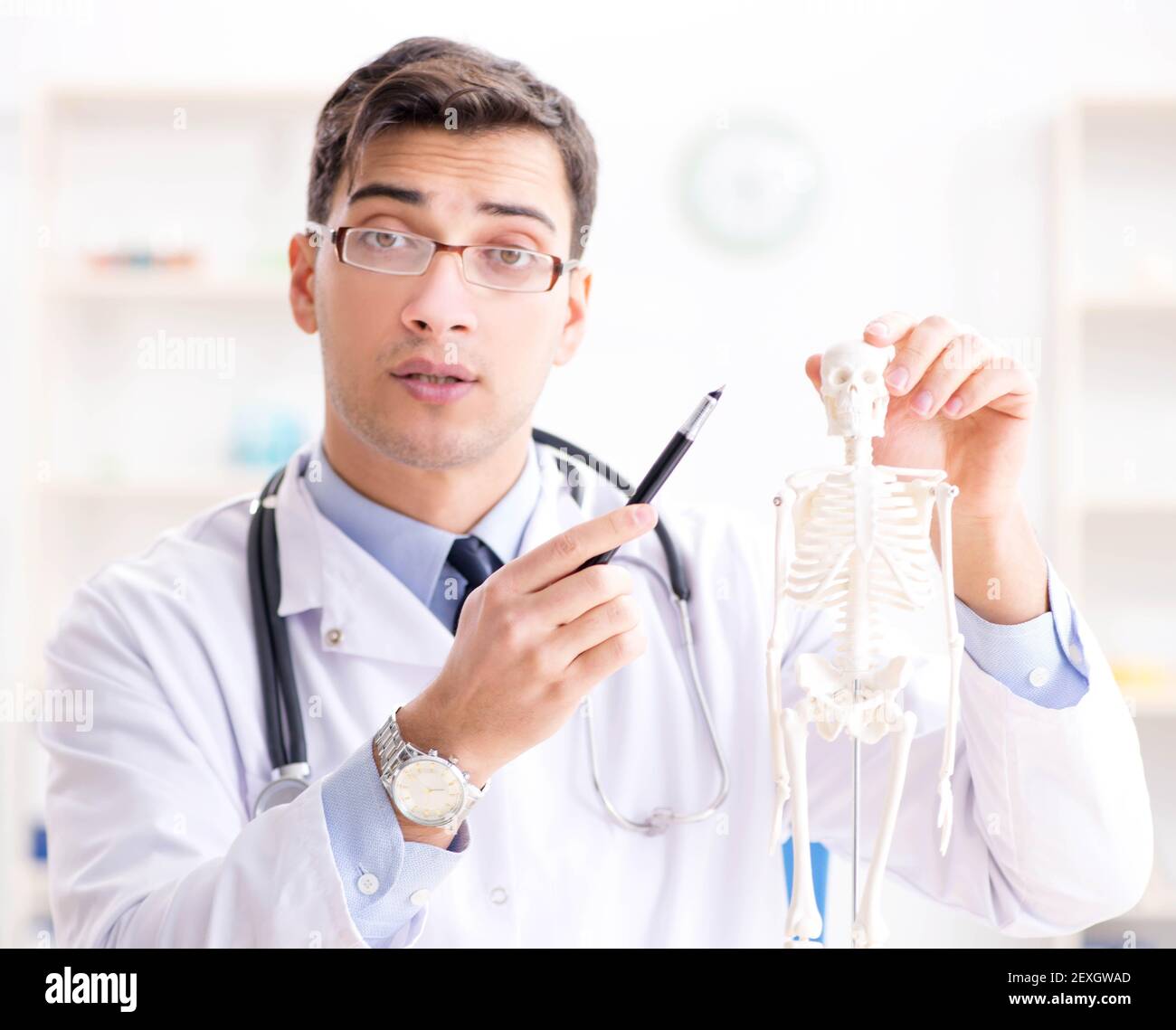 The doctor explaining human body on skeleton Stock Photo - Alamy