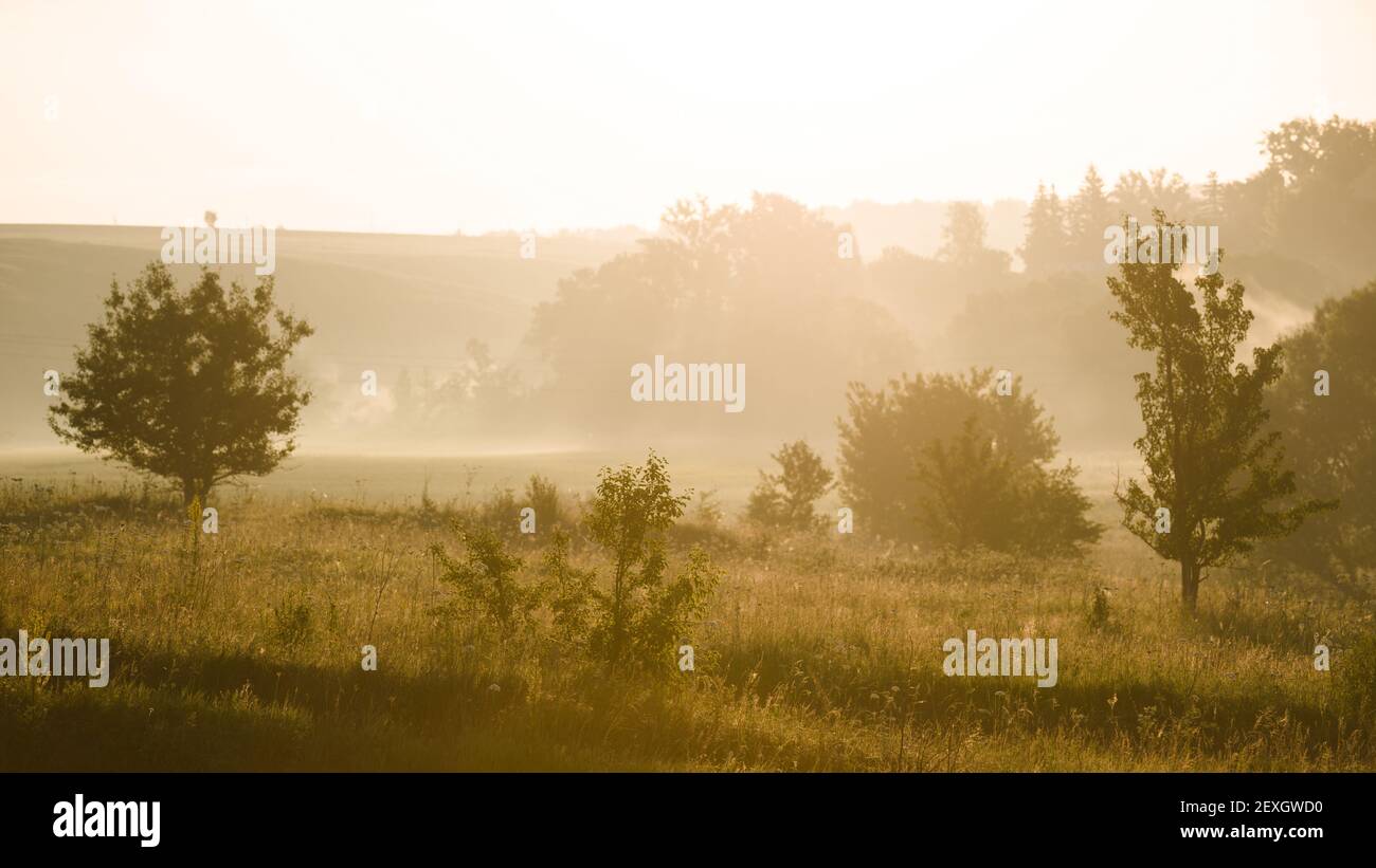 Quiet morning time hi-res stock photography and images - Alamy