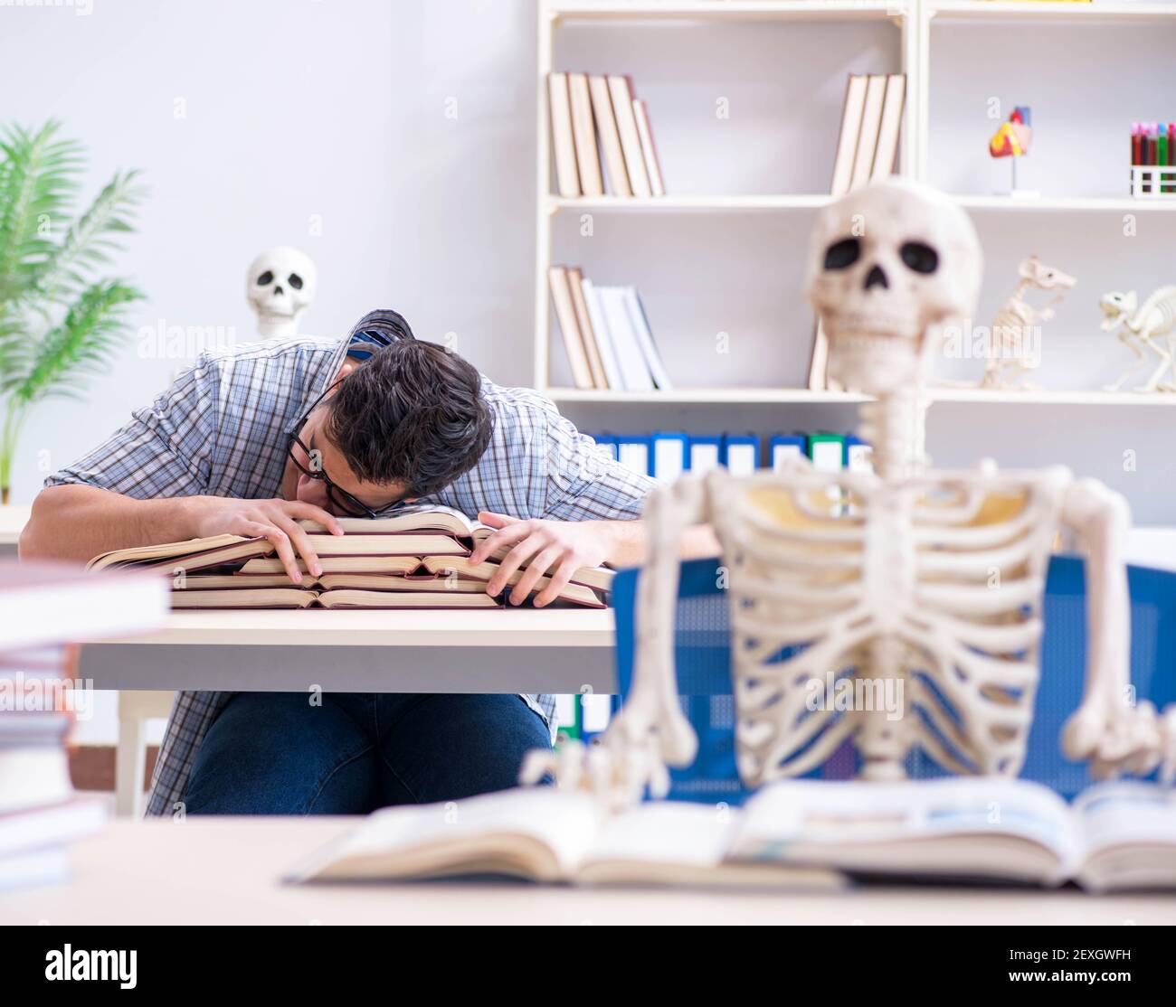 The student skeleton listening to lecture in classroom Stock Photo - Alamy