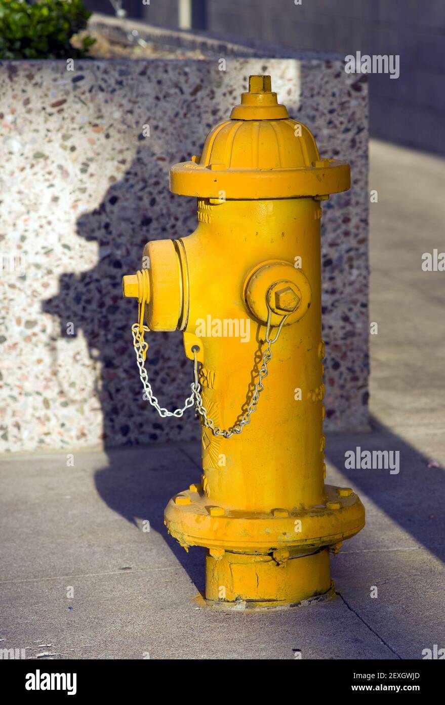 Yellow Fire Hydrant Street Sidewalk Stock Photo - Alamy