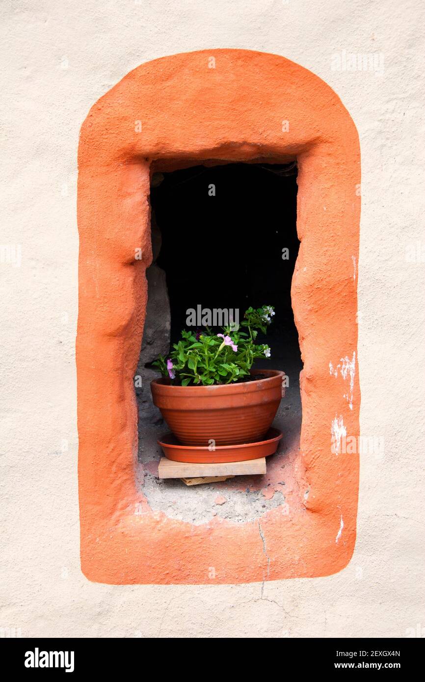 Historical flowers hi-res stock photography and images - Alamy