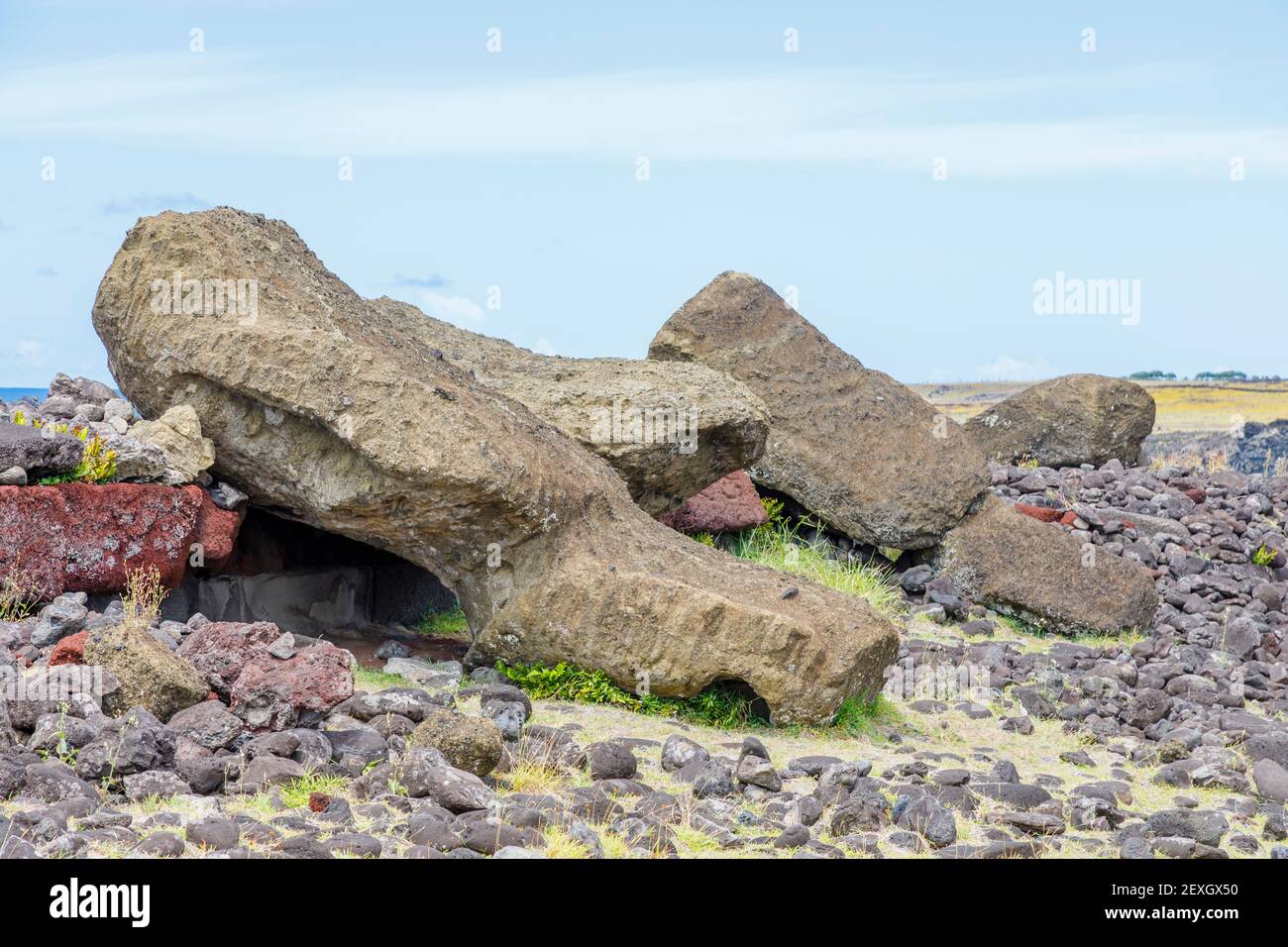Fallen toppled moai (statues) and pukao (topknots) at Ahu Akahanga on ...