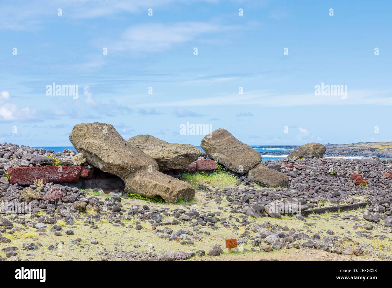 Fallen toppled moai (statues) and pukao (topknots) at Ahu Akahanga on ...