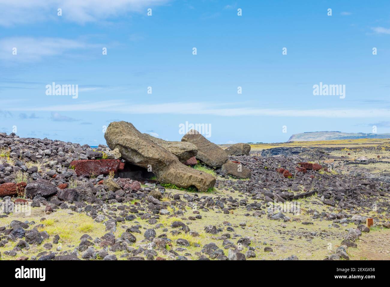 Fallen toppled moai (statues) and pukao (topknots) at Ahu Akahanga on ...