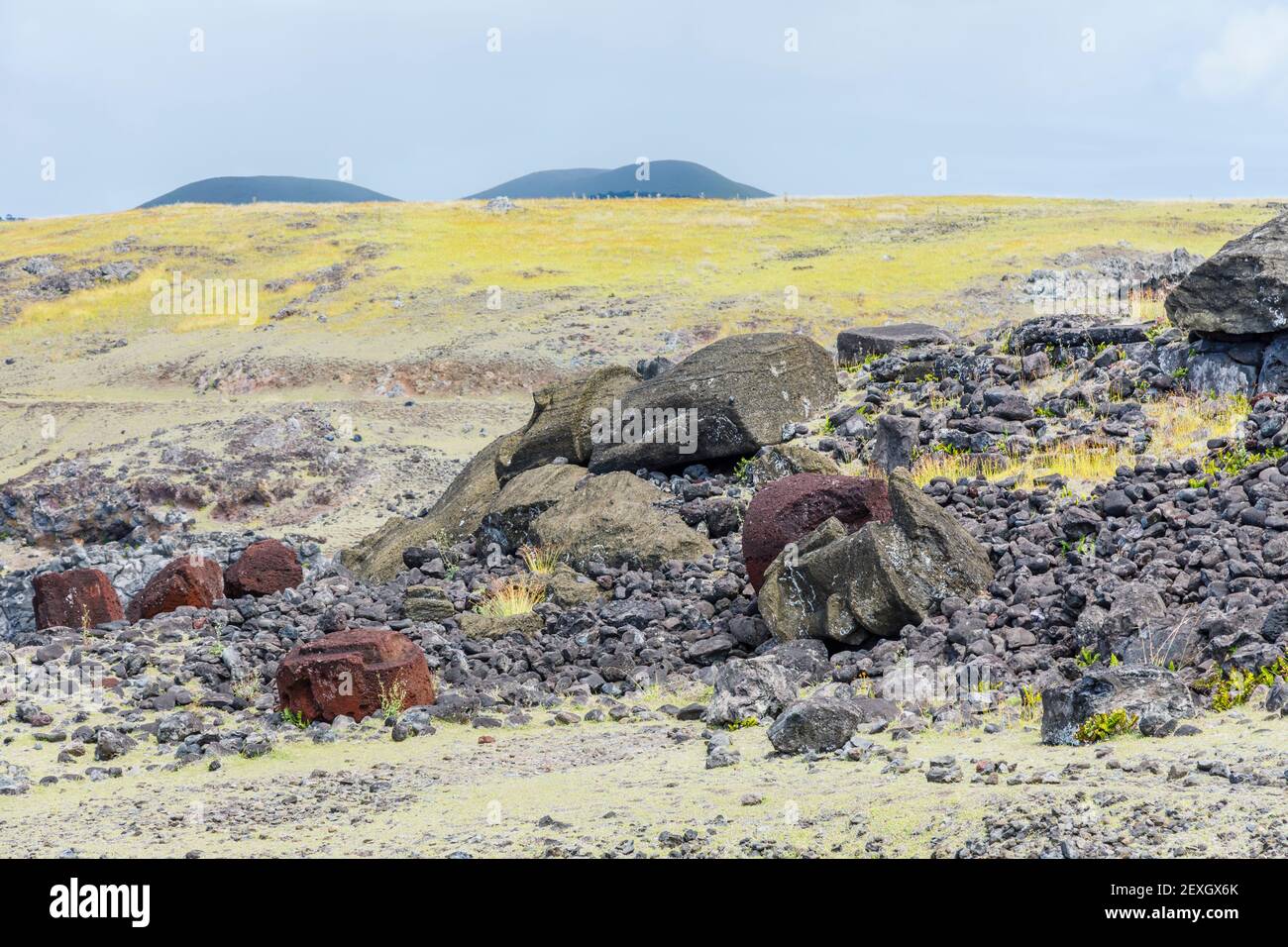 Fallen toppled moai (statues) and pukao (topknots) at Ahu Akahanga on ...