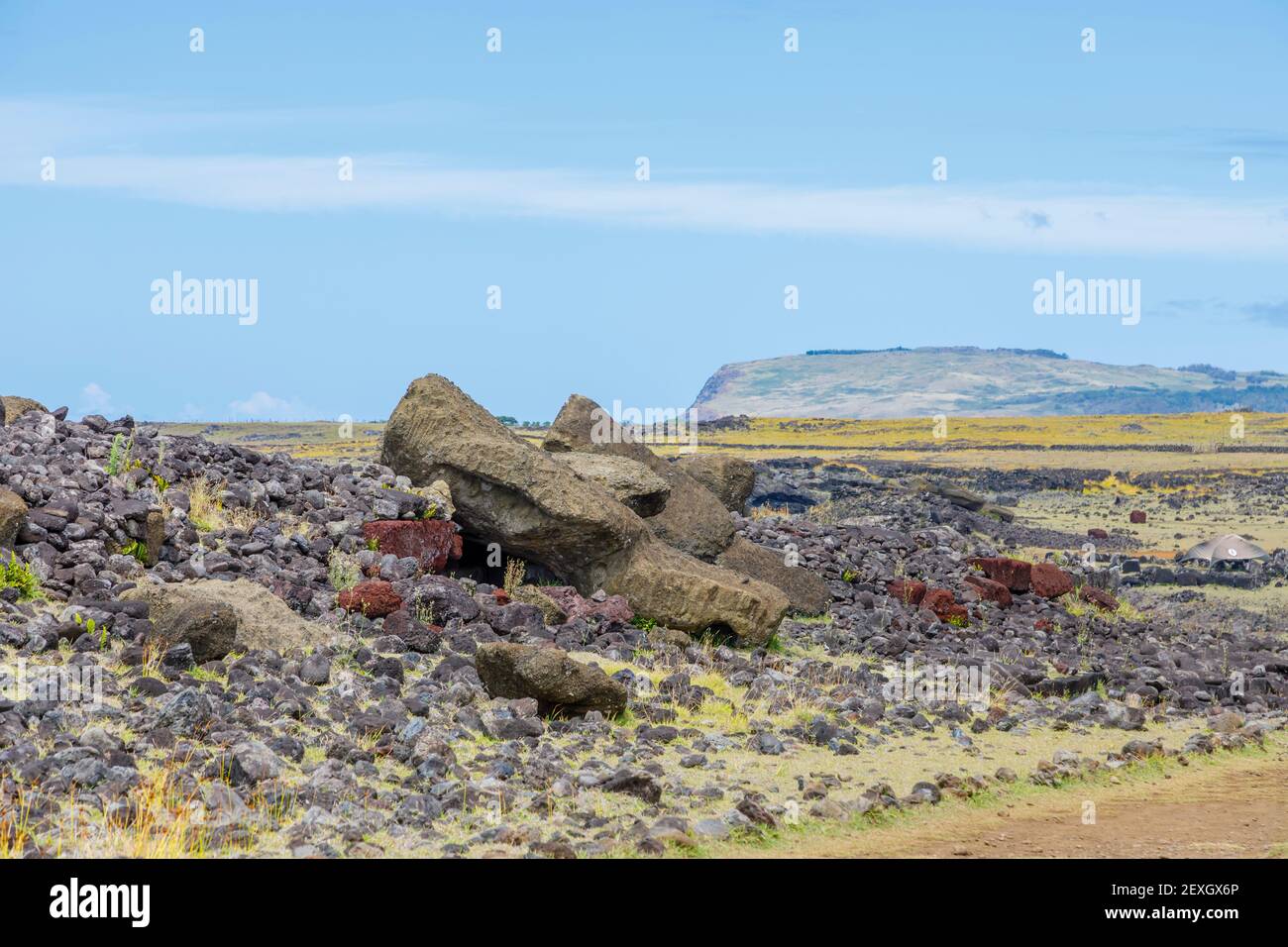 Fallen toppled moai (statues) on the ruined platform at Ahu Akahanga on ...