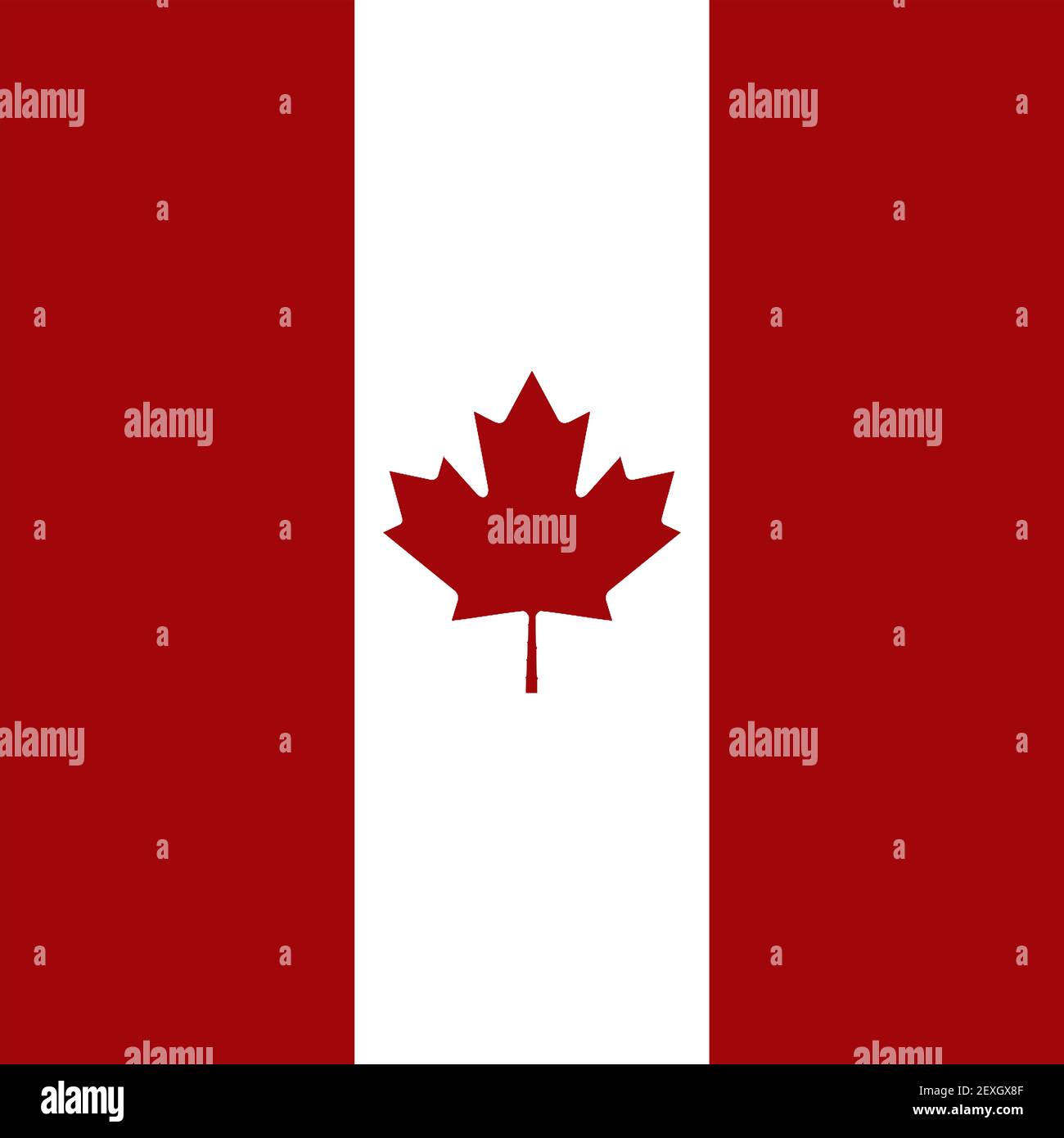 Square Canadian National Flag Red and White Stock Photo - Alamy