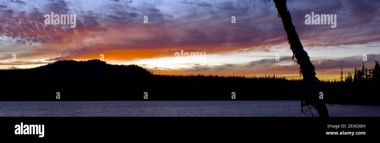 Panoramic sunset view yellow forest hi-res stock photography and images ...