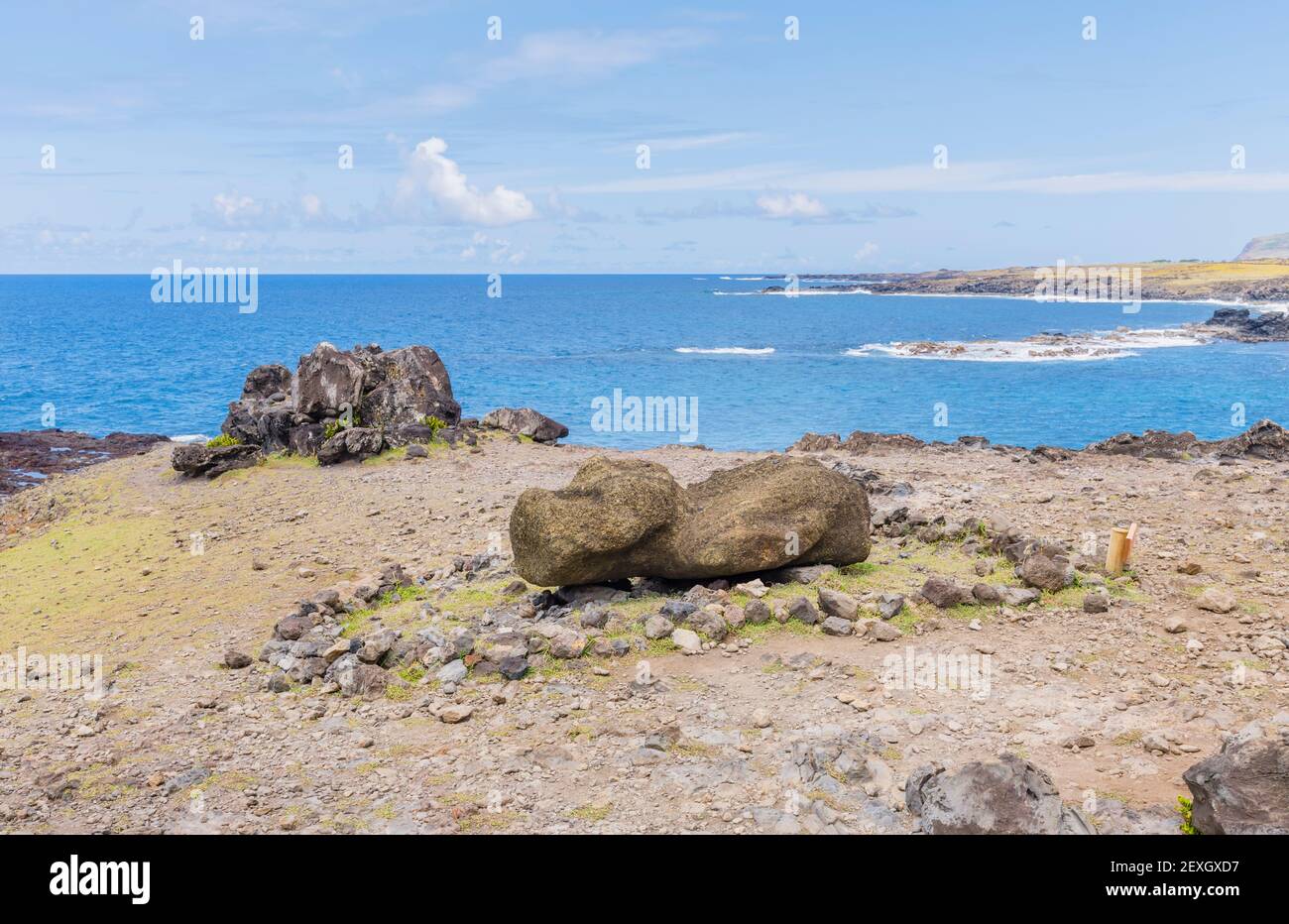 A weathered toppled moai laying on the ground in a ring of stones and ...