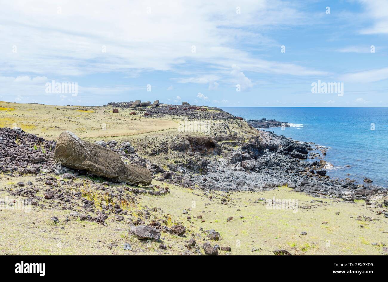 Fallen toppled moai (statues) laying face down at Ahu Akahanga on the ...