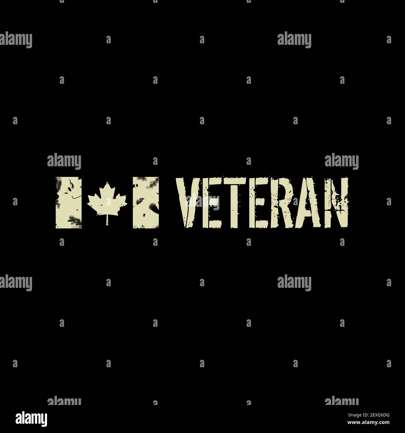 Veteran canadian flag hi-res stock photography and images - Alamy