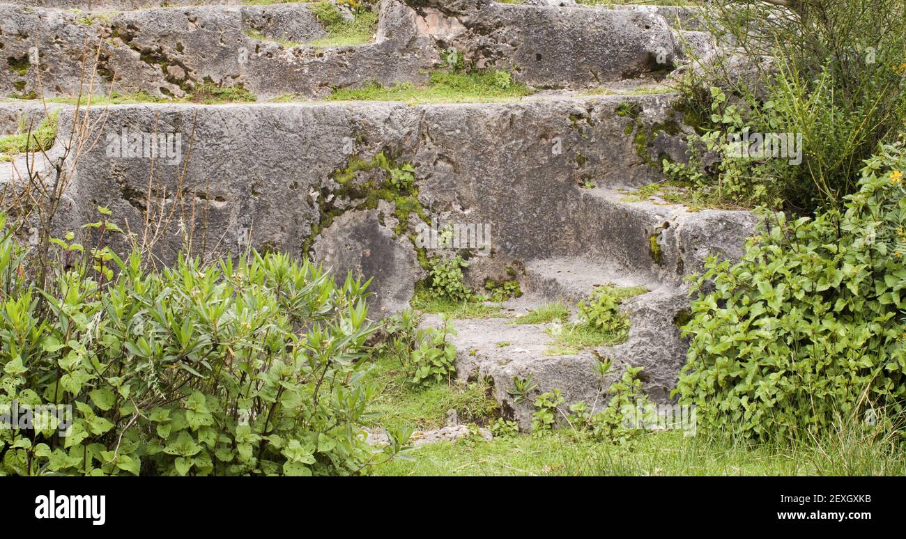 carved Inca stone steps overrun with plants Stock Photo - Alamy