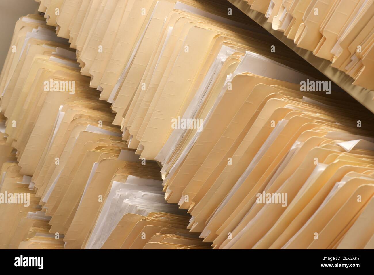 Rows of File Folders Arranged on Shelf with Client Data Stock Photo - Alamy