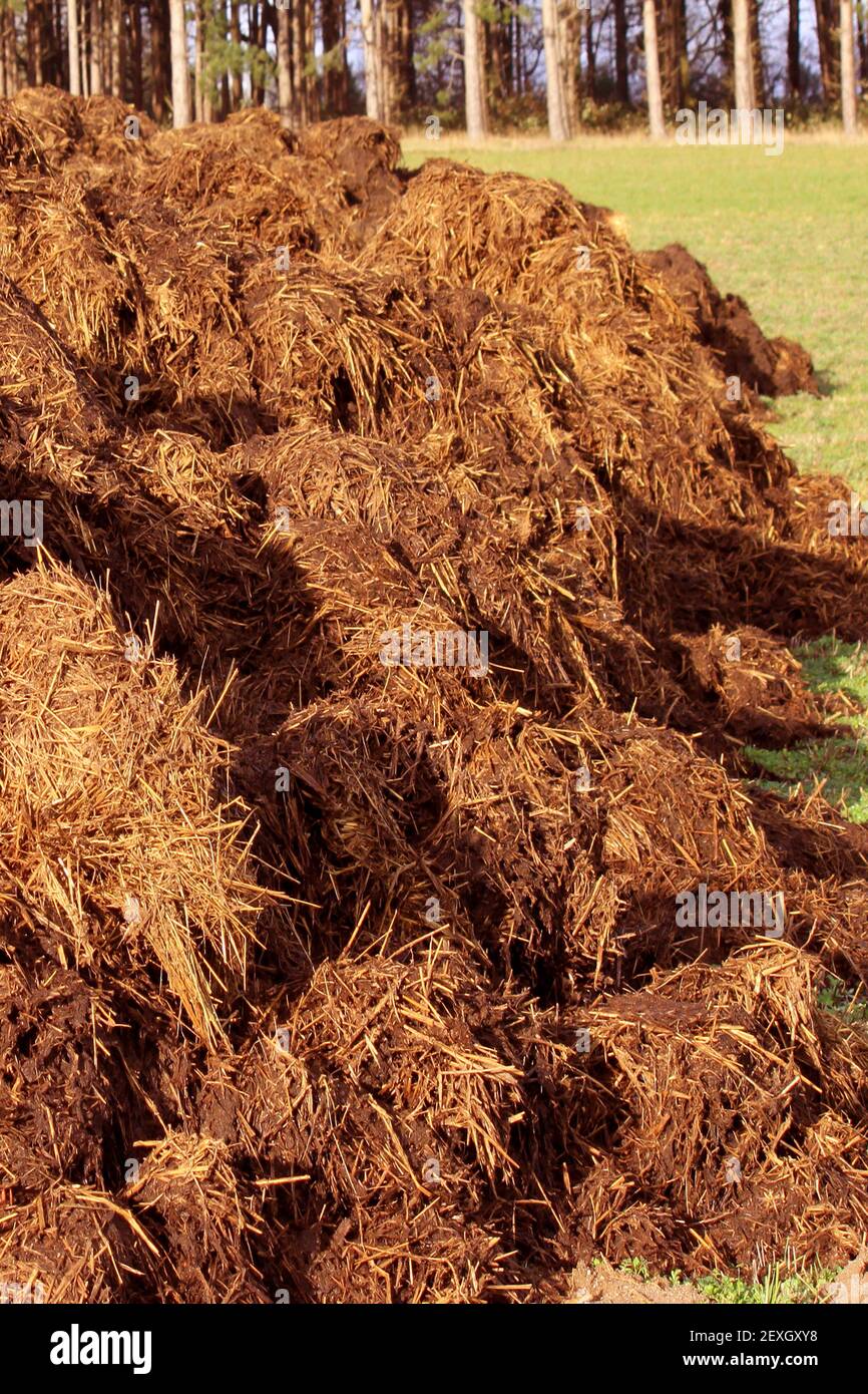 Manure for organic farming Stock Photo - Alamy