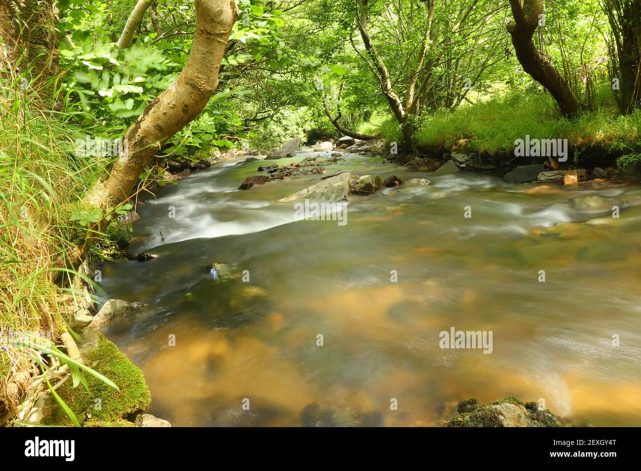 Heddon valley autumn hi-res stock photography and images - Alamy