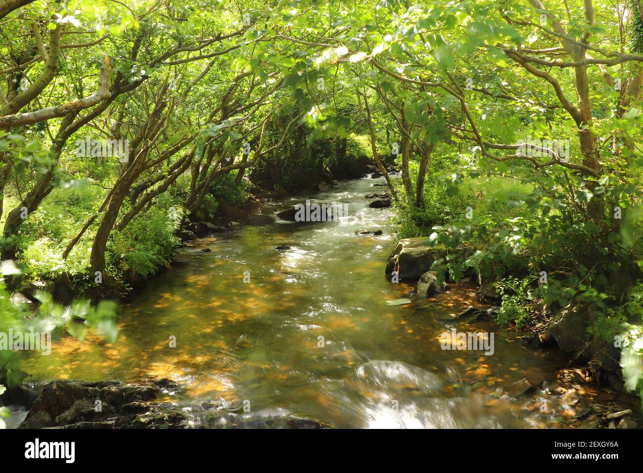 Heddon river flowing through the valley and over rocky ground Stock ...