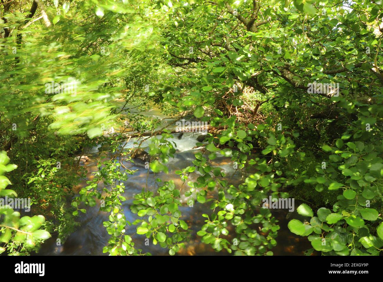 Heddon river flowing through the valley and over rocky ground Stock ...