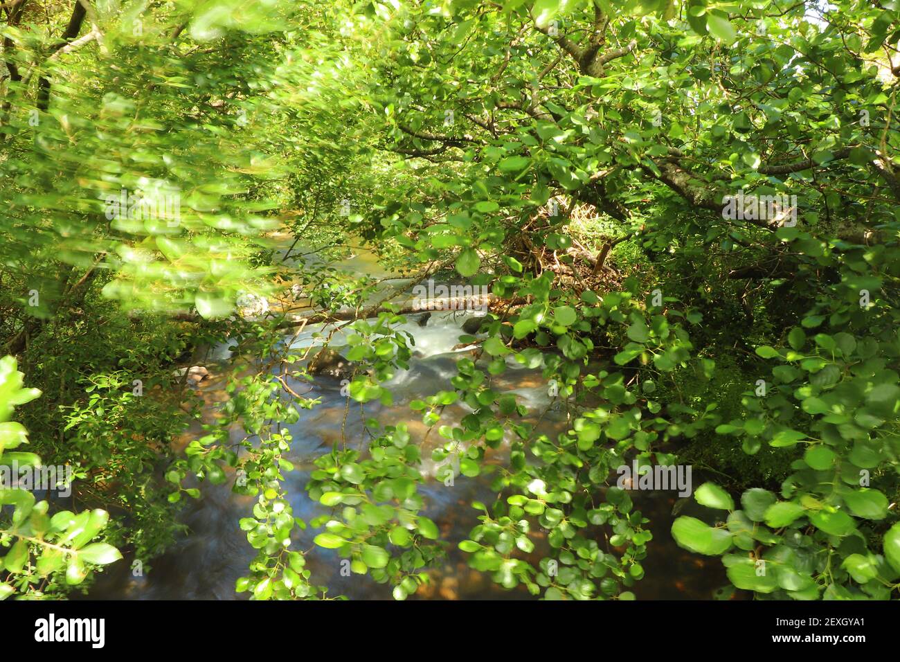 Heddon river flowing through the valley and over rocky ground Stock ...
