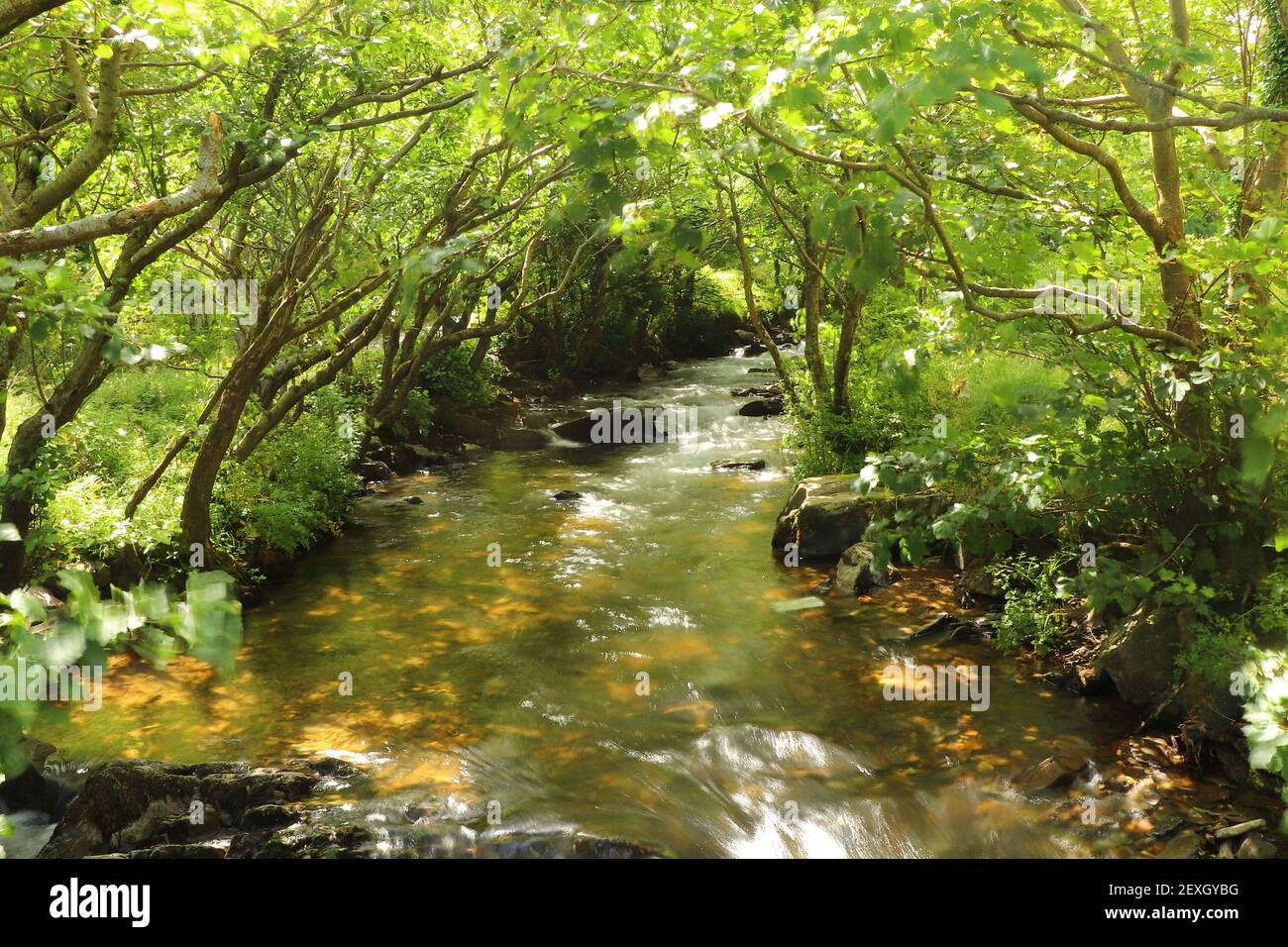 Heddon river flowing through the valley and over rocky ground Stock ...
