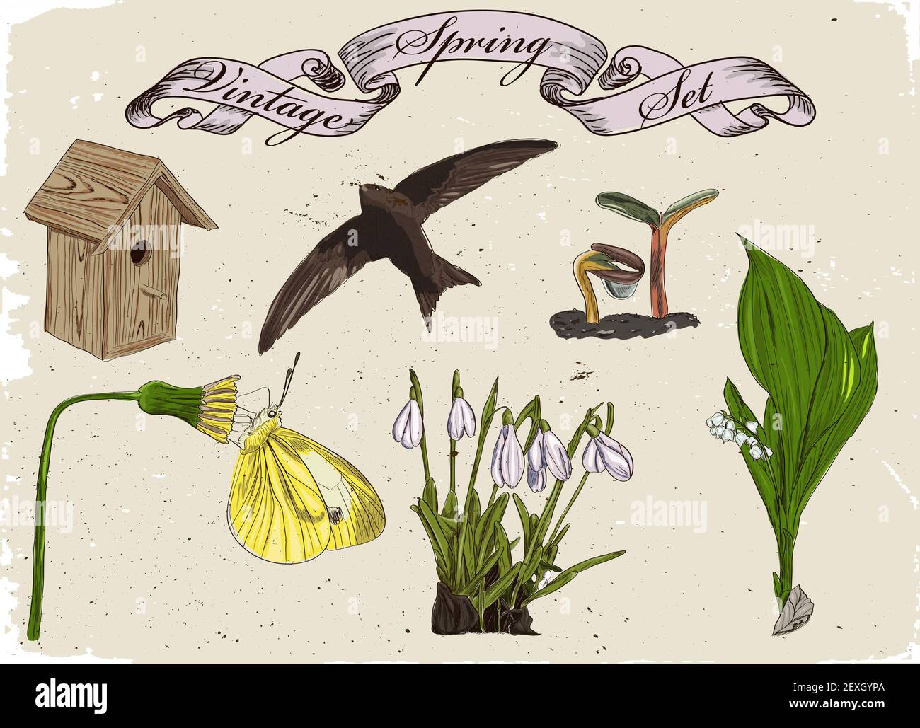 Vintage set of spring elements Stock Photo - Alamy