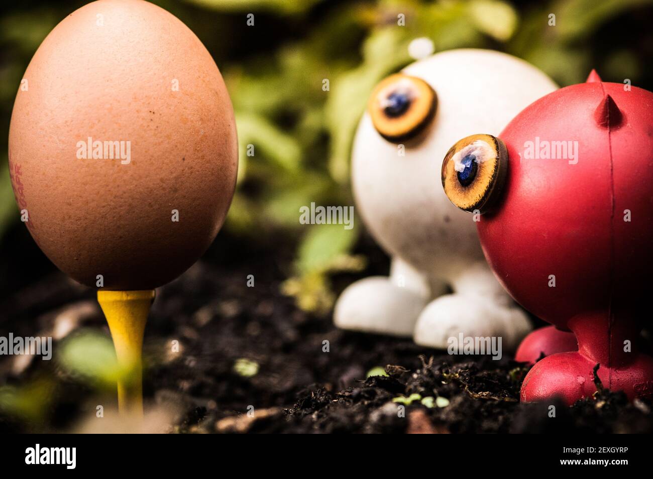Two small red round toys with one eye looking at an egg Stock Photo - Alamy