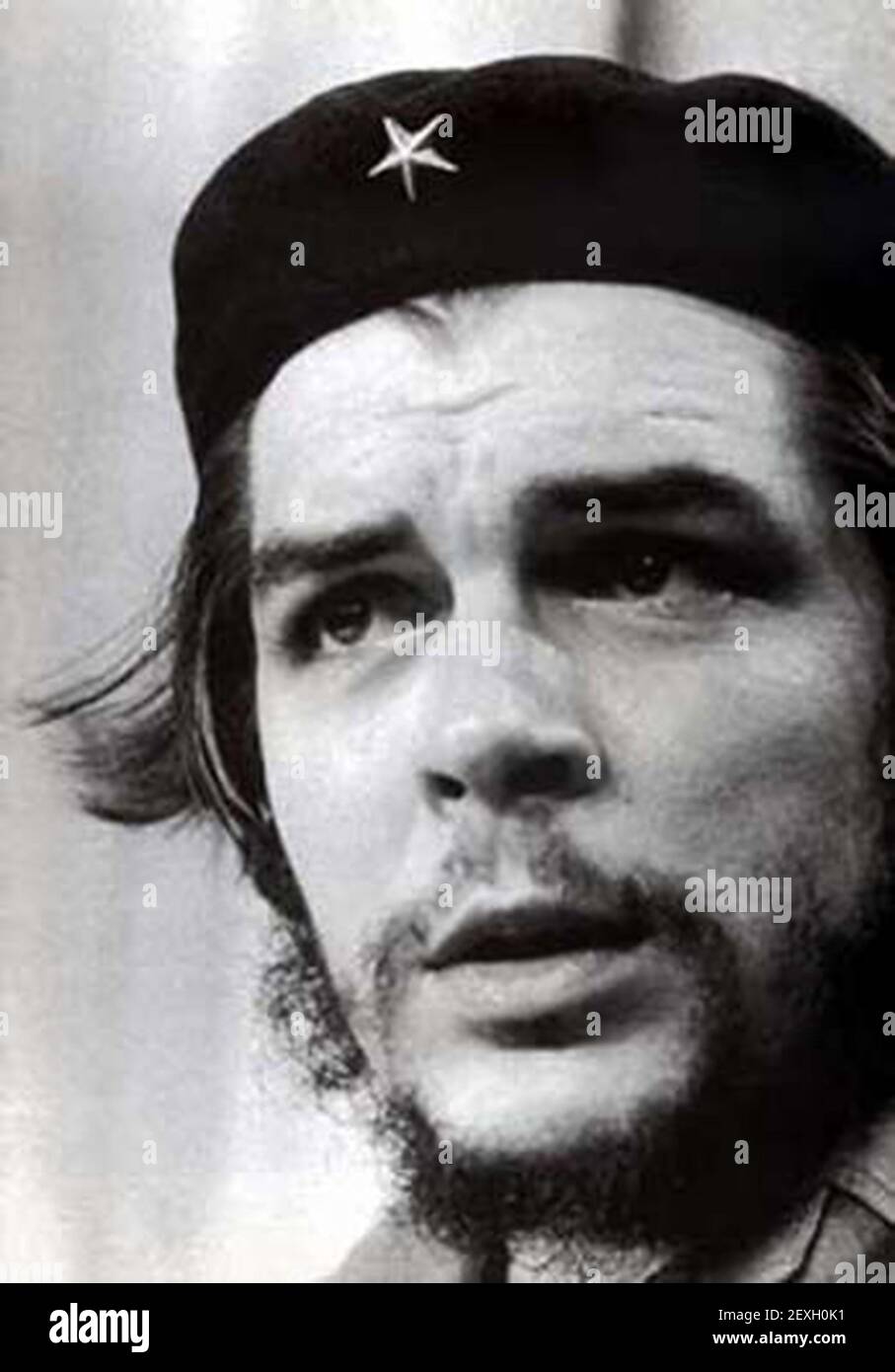 Ernesto Che Guevara portrait Stock Photo - Alamy Ernesto Che Guevara portrait Stock Photo - Alamy