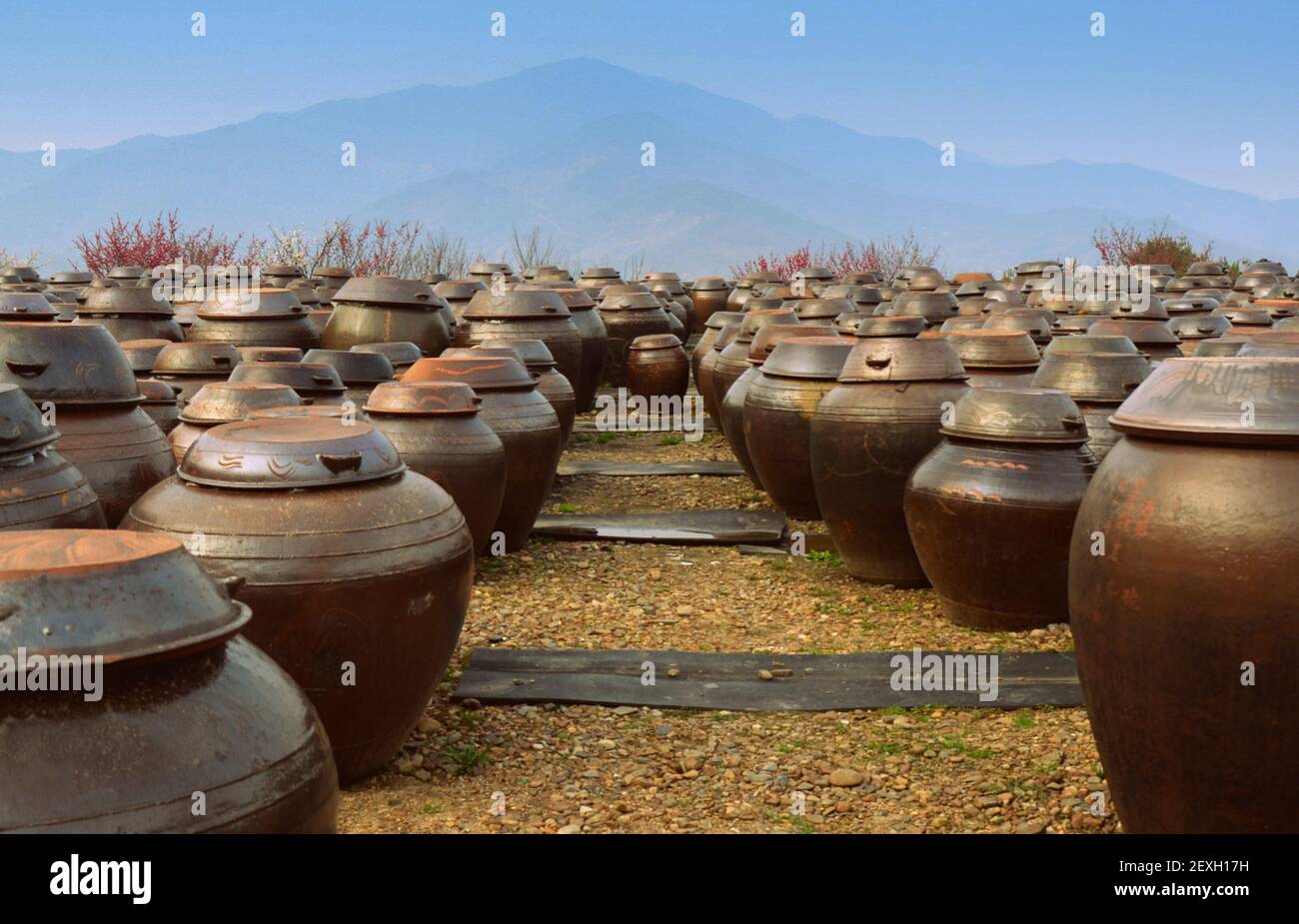 Earthenware Kimchi Jar