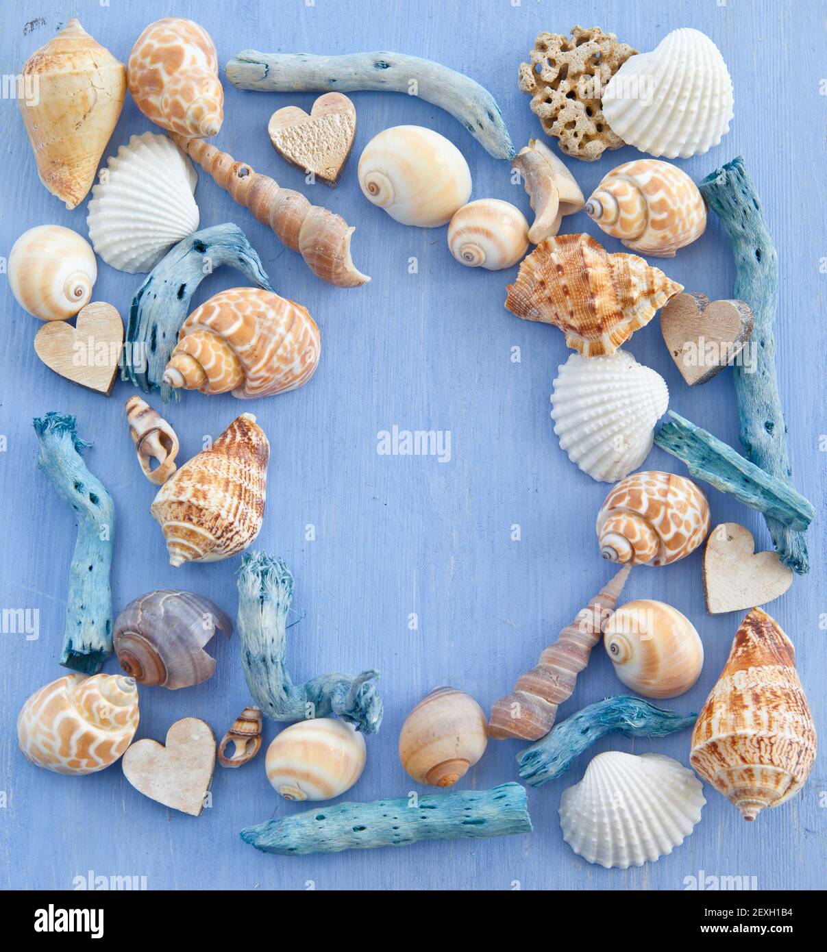 Blue background with shells Stock Photo - Alamy