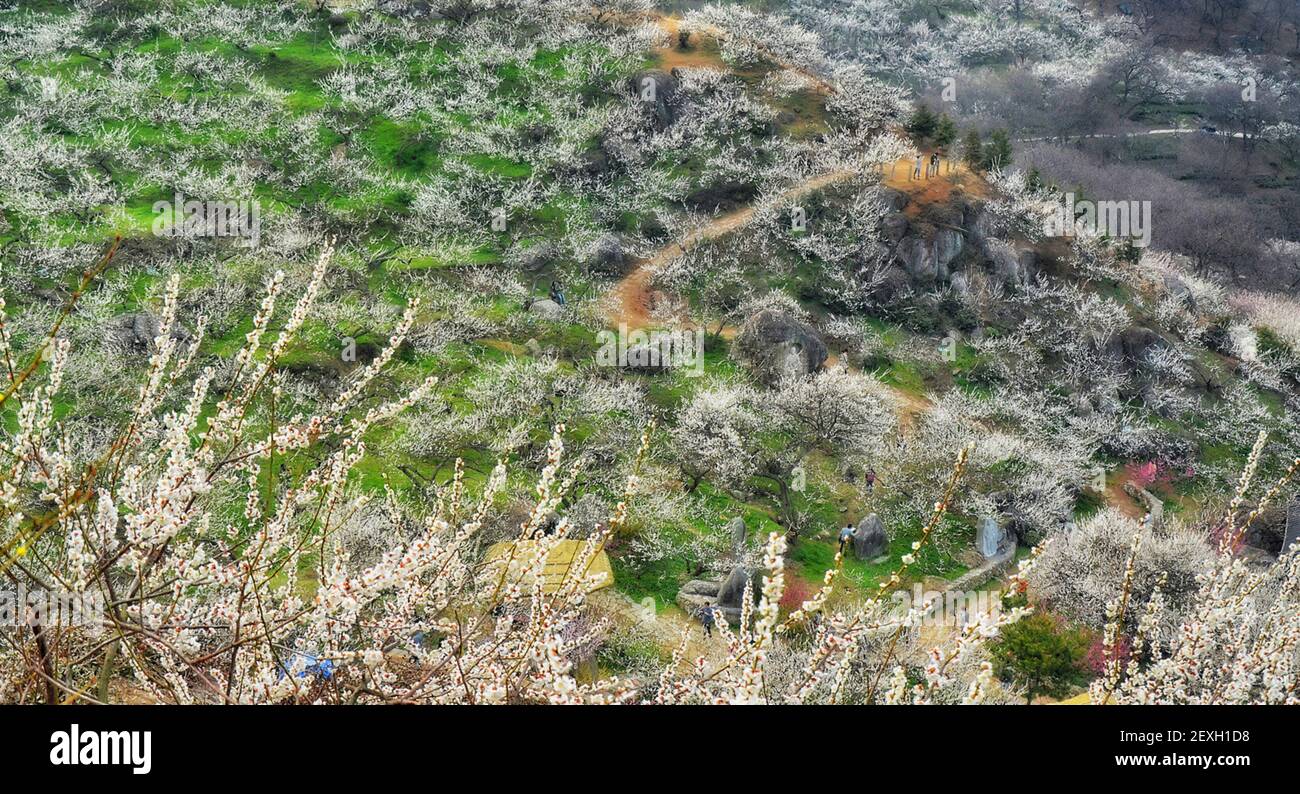 View village landscape blooming hi-res stock photography and images - Alamy