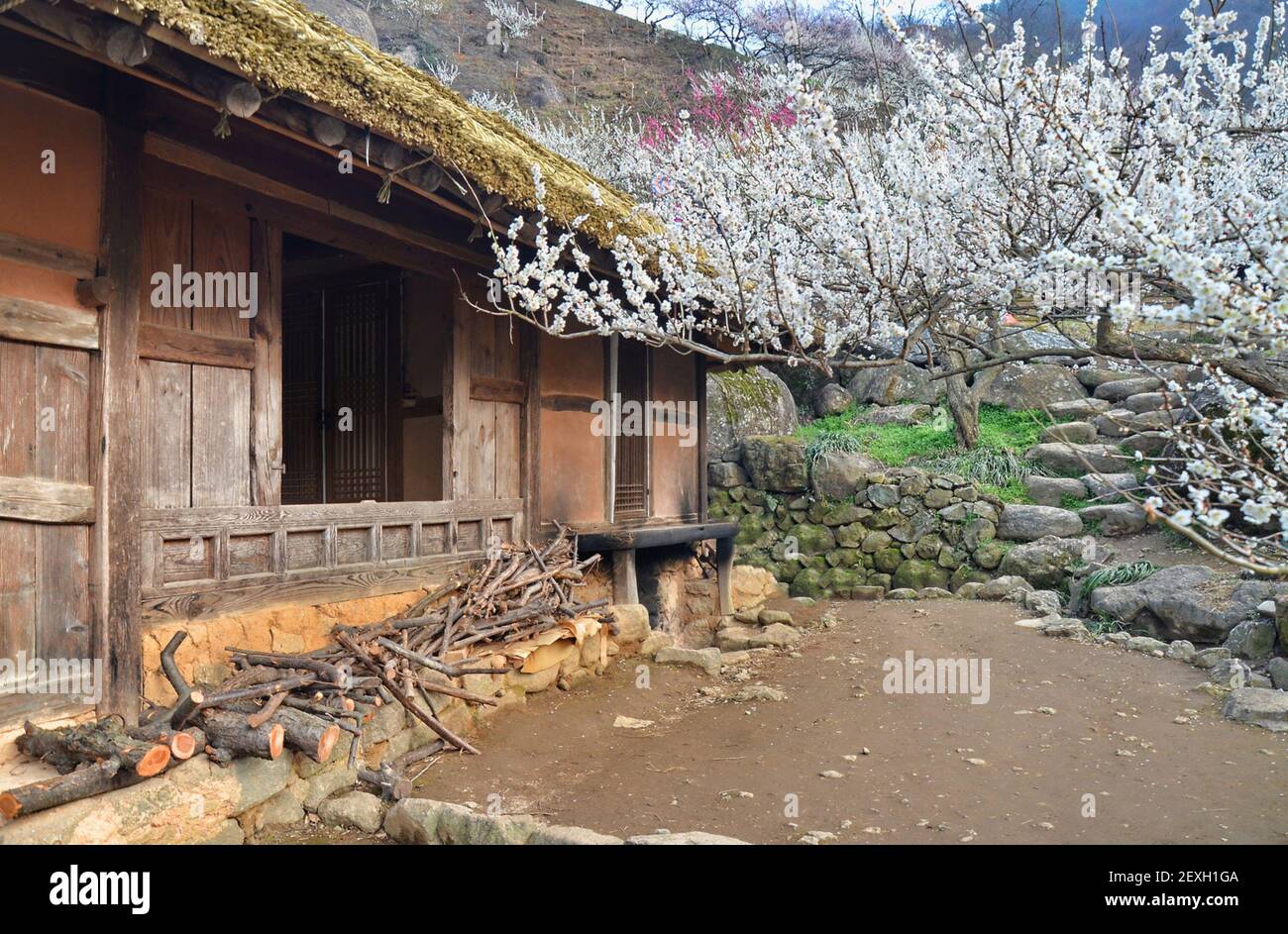 Traditional korean house (hanok) in Maehwa village, Gwangyang, South ...
