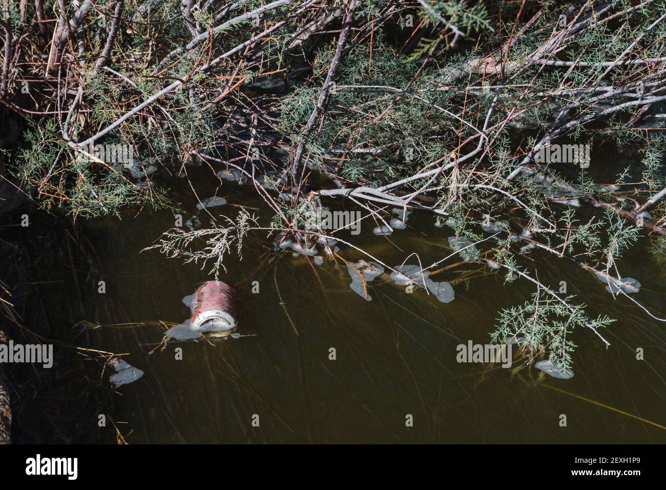 Stock photo of polluted river in the countryside Stock Photo - Alamy