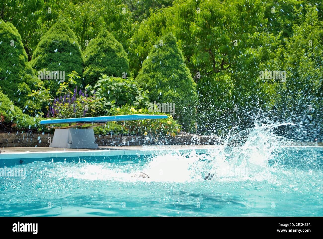 Big splash after someone jumped off the diving board Stock Photo - Alamy