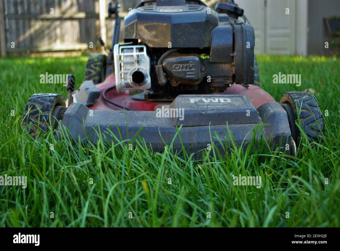 Ground level view of a lawnmower in tall grass Stock Photo - Alamy