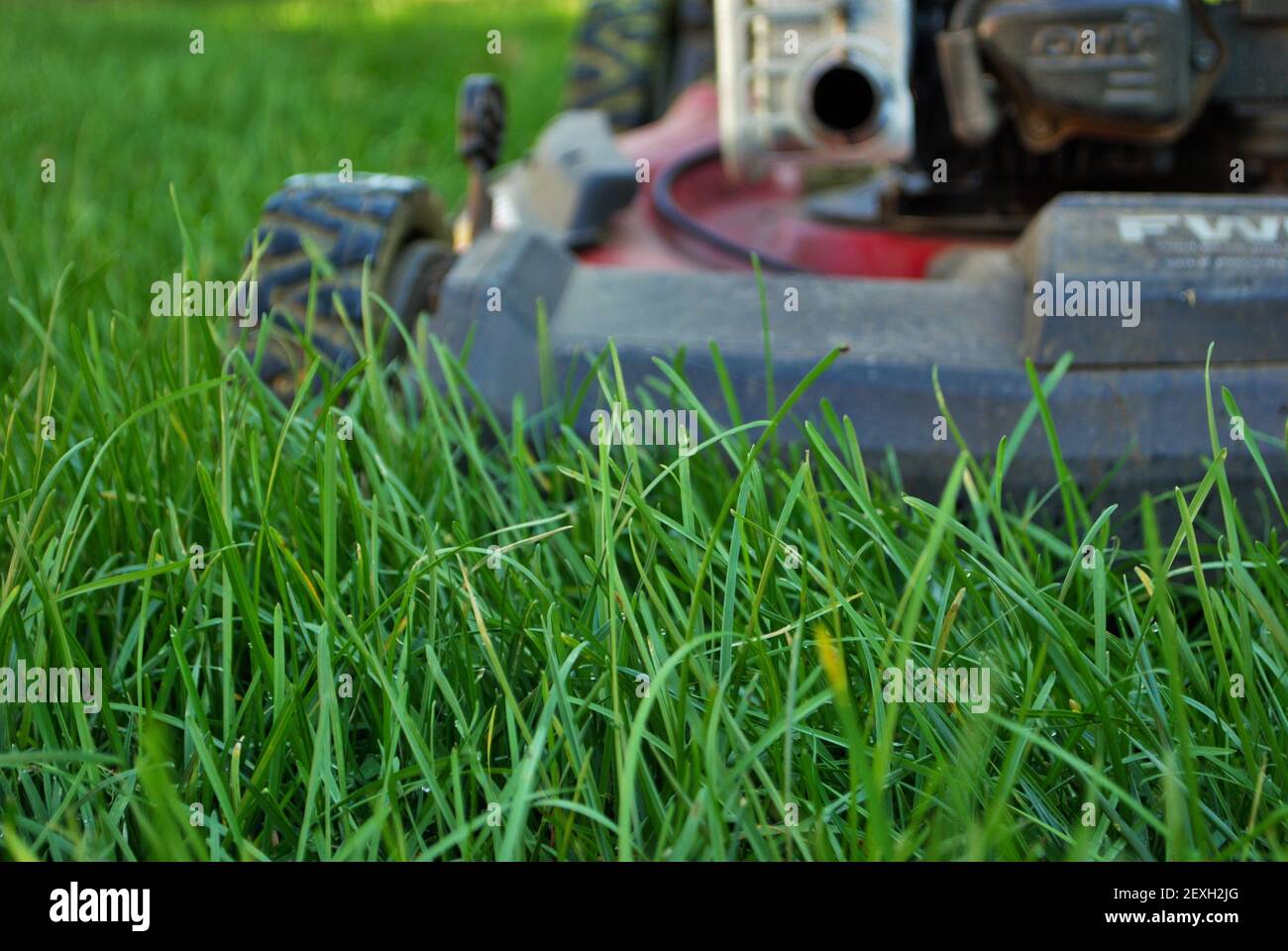 Ground level view of a lawnmower in tall grass Stock Photo - Alamy