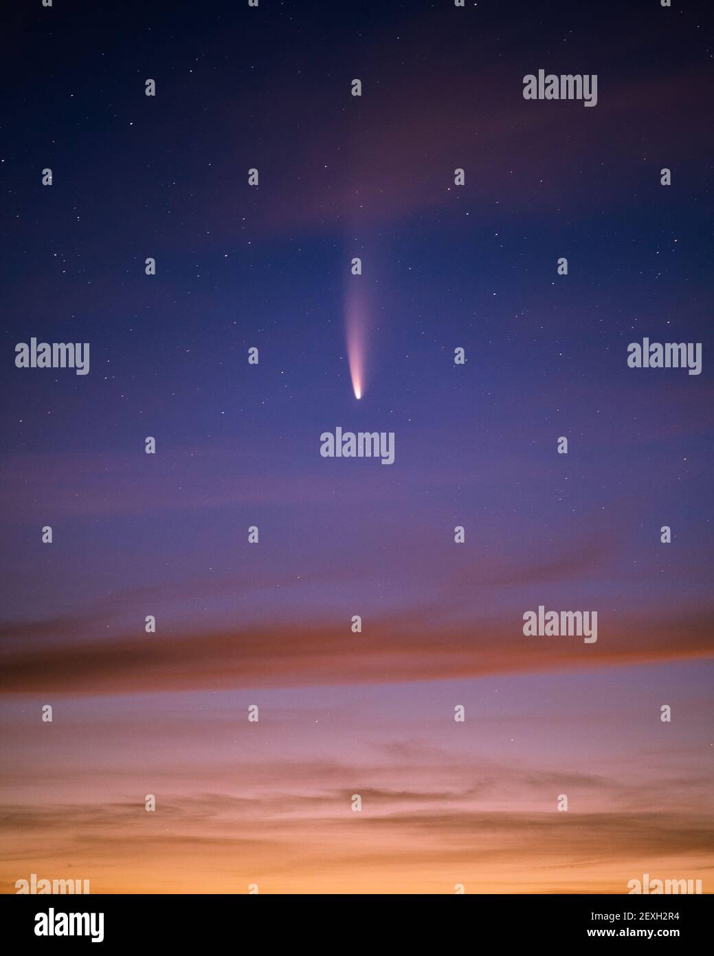 A vertical shot of the comet Neowise over the Black Forest, Germany ...