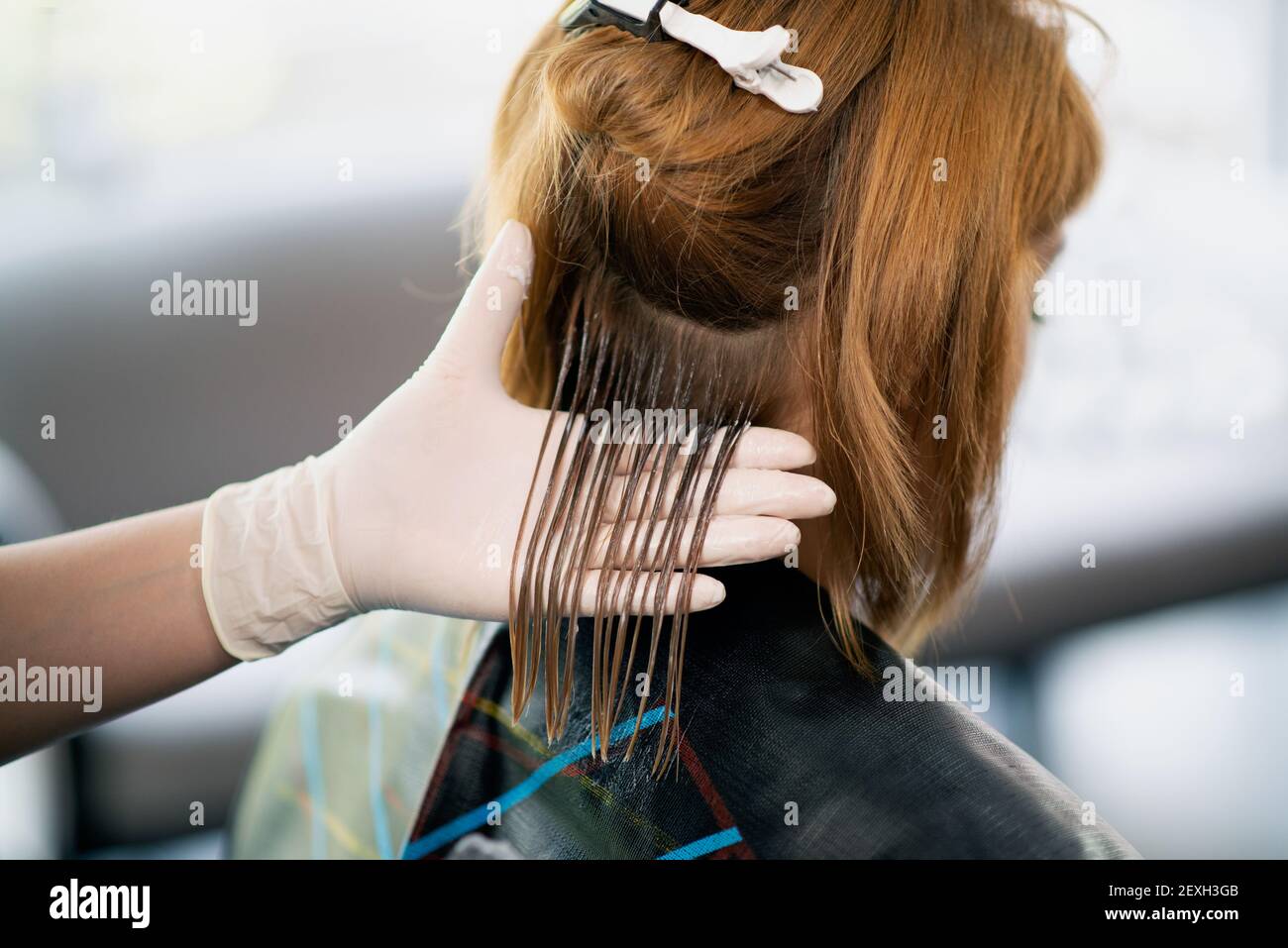 Back view of a female hairdresser doing a hairstyle for a redhead in a ...