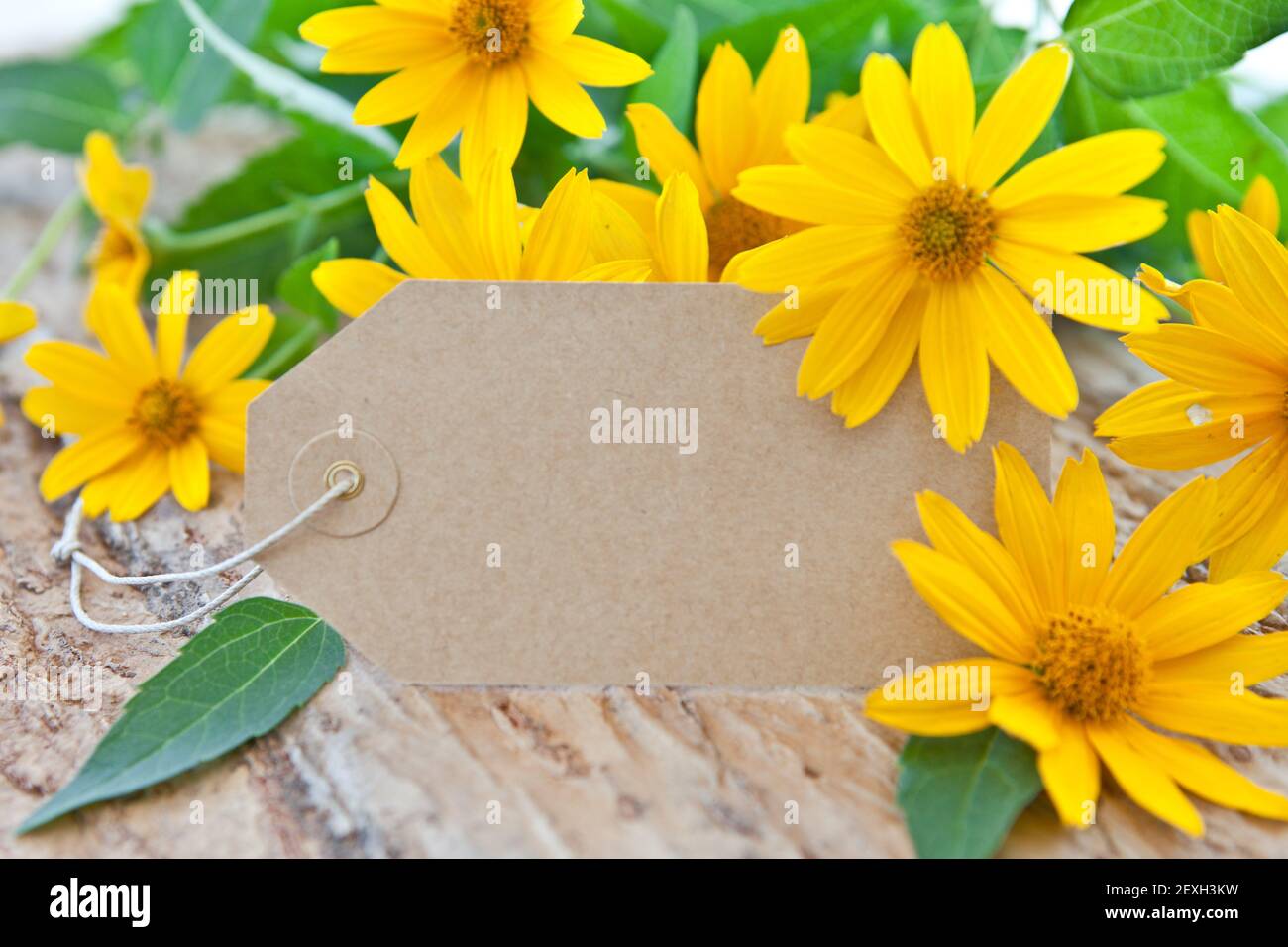 Cardboard pendant hi-res stock photography and images - Alamy