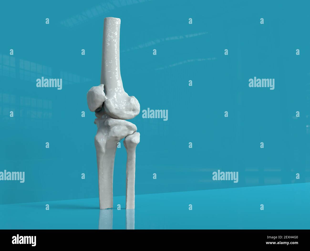 Model of human bones, knee, 3D render Stock Photo - Alamy